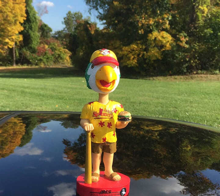 Bobble of the Day Jimmy Buffet "Parrot Head" - Bobble Sniper